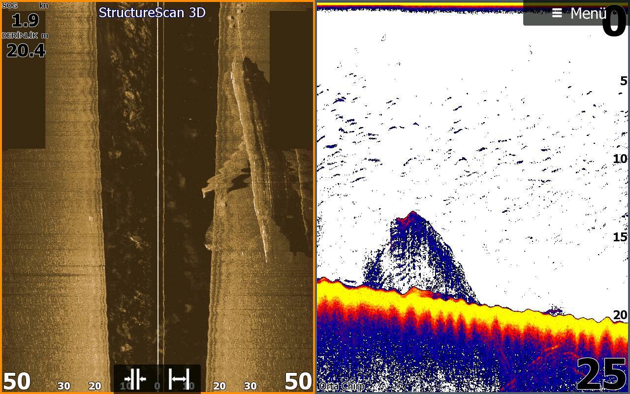 StructureScan® 3D Modül + Transducer